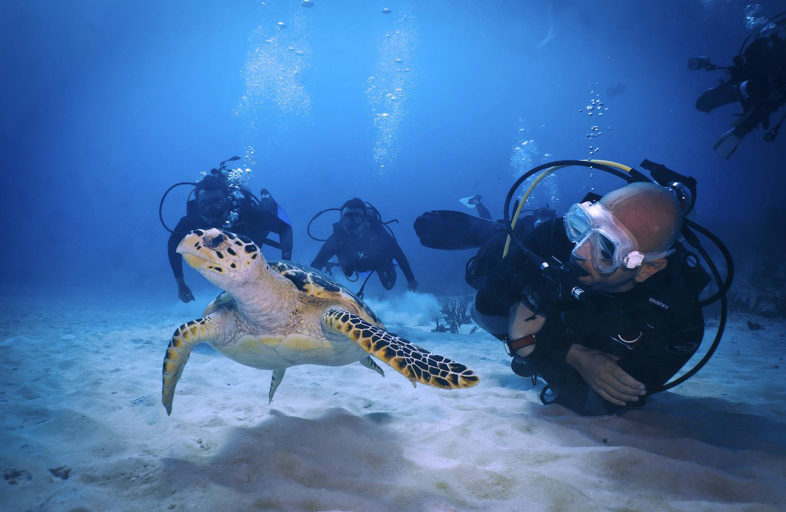 Cenote diving in Playa del Carmen | Scuba Planet Mexico