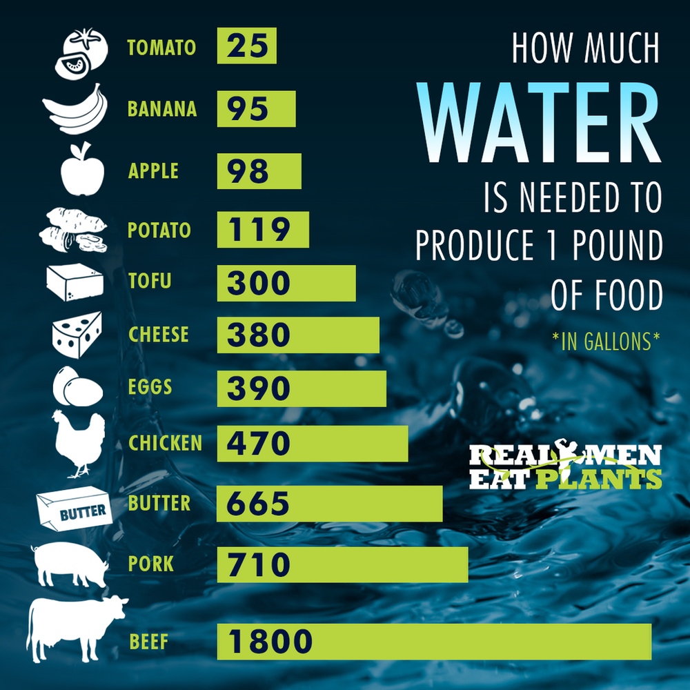 How much water is needed to produce 1 pound of food