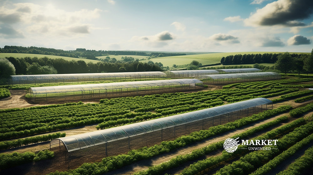 Chickpea Revolution: UK's Groundbreaking Breeding Programme to Reinvent ...