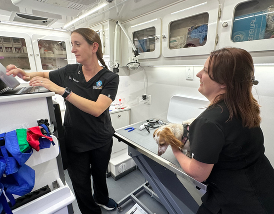 Mobile Veterinarian | HelloVet | Jacksonville