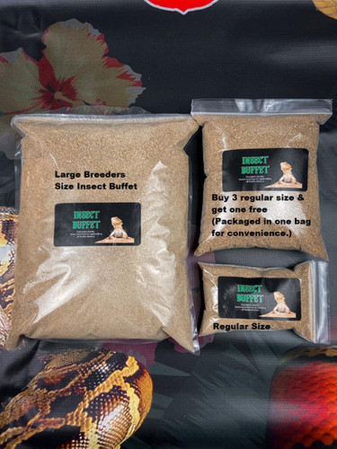 Insect Buffet | Cbcs