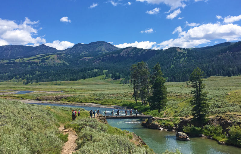 What is Three Dimensional (3D) Learning?