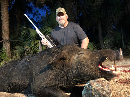 Florida Hog Hunting | Guided Hog Hunts