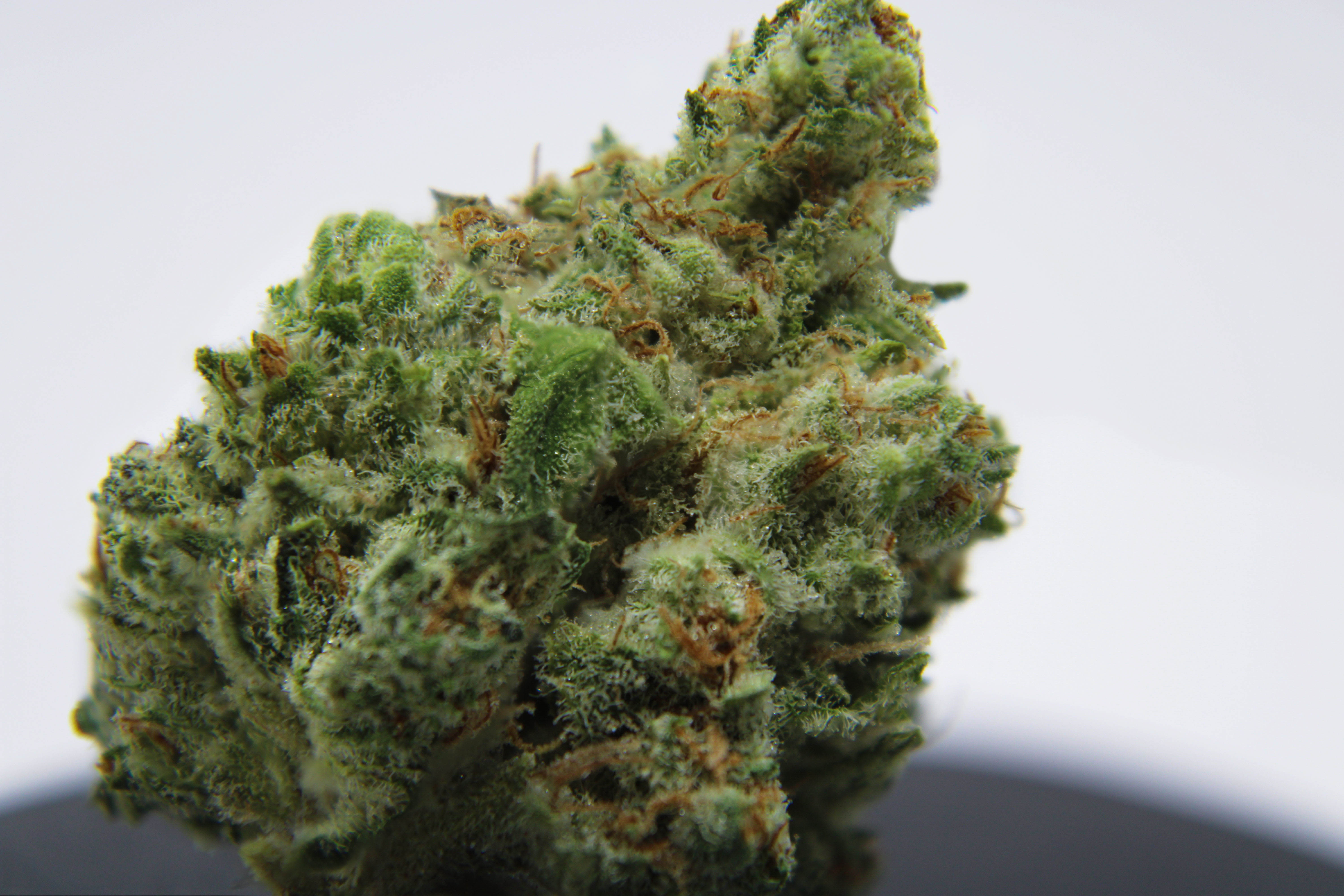 Cherry Lemonade | Narvona