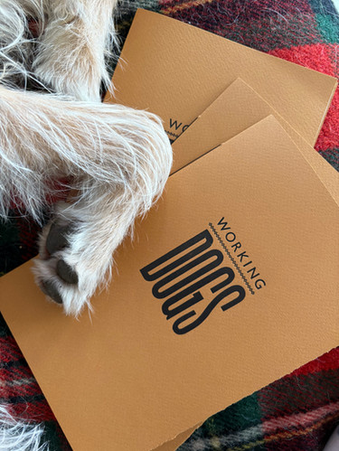 Working Dogs | Flycatcher Press