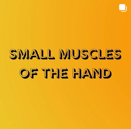 Small Muscles of hand - Anatomy | Angelina Issac