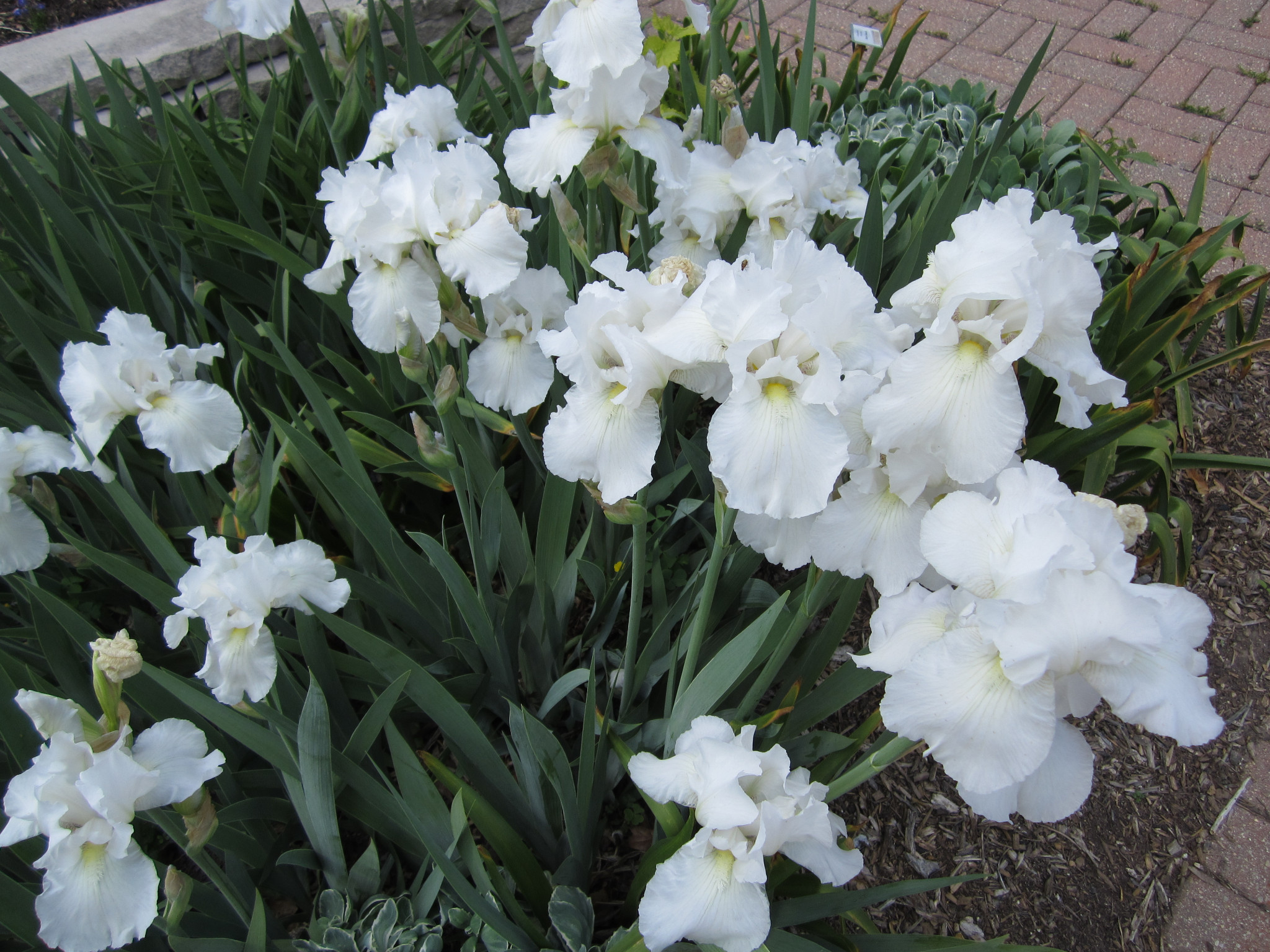 8 ways to better hormone therapy | GynoGab | United States | Women's ...