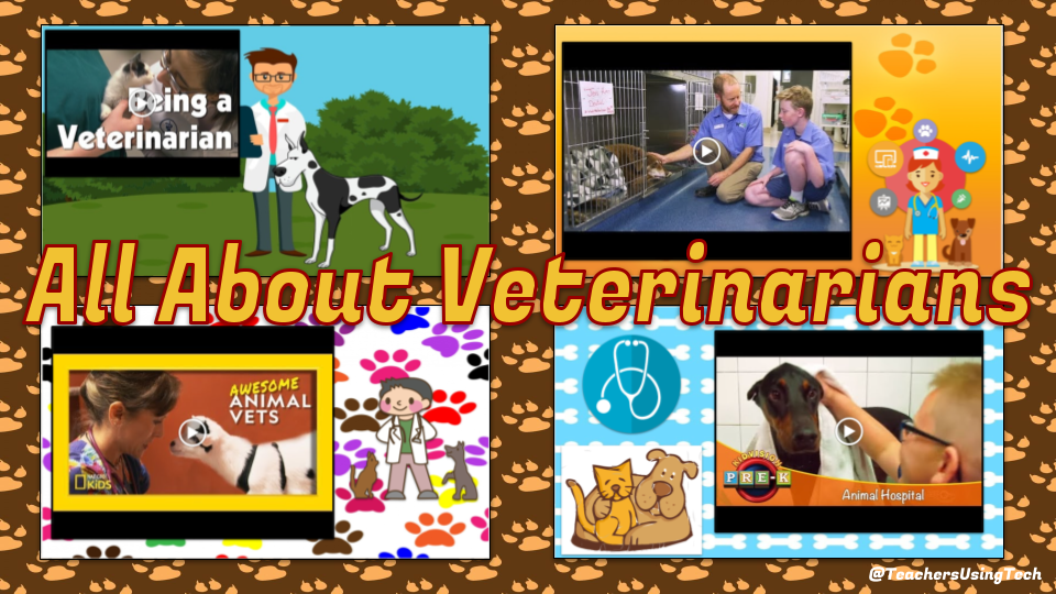 Veterinarian Virtual Field Trips🐶🐱
