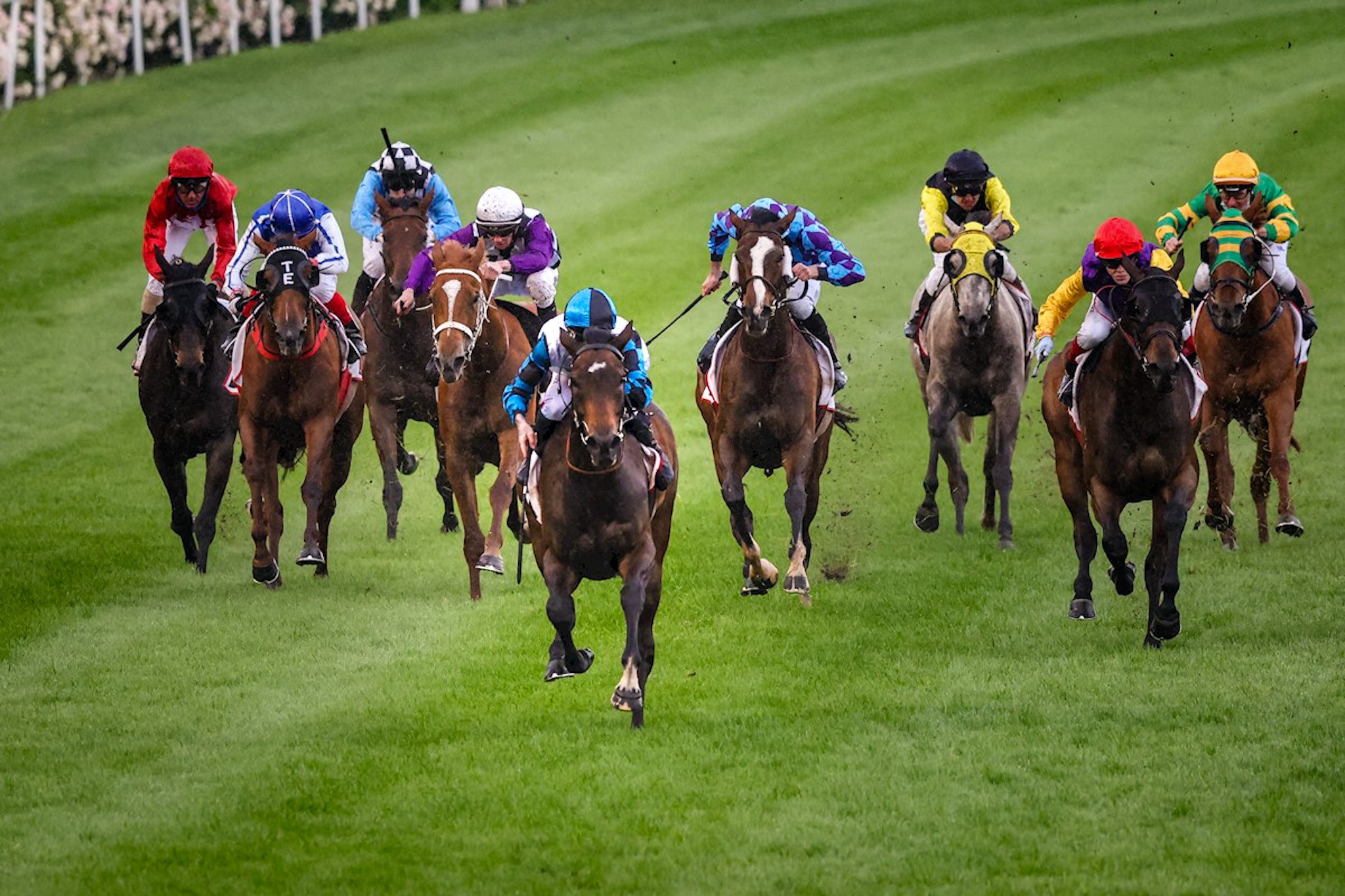 Flying Mascot spreads her wings for Flying Start Syndications. | Stable ...