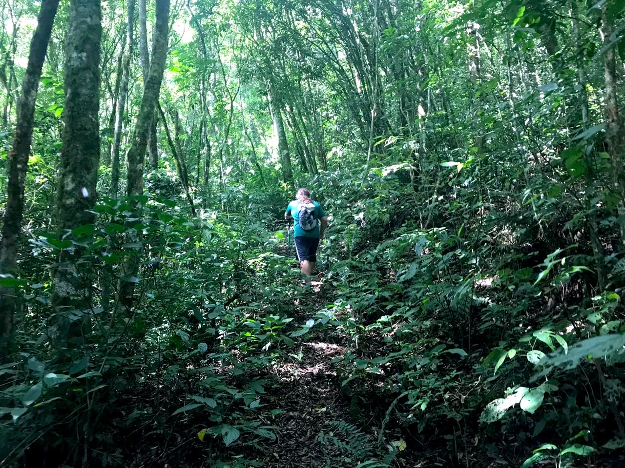 Serra do Pitoco | Serra do Pitoco