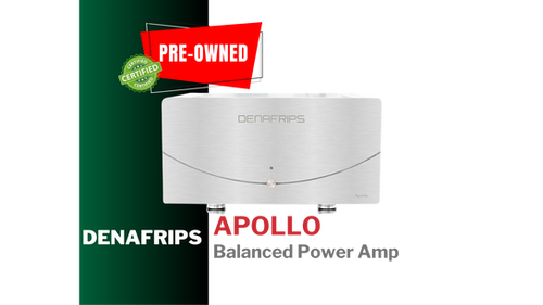 DENAFRIPS APOLLO Power Amplifier | Vinshine Audio