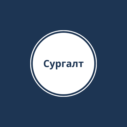 Үйлчилгээ Ubaudit