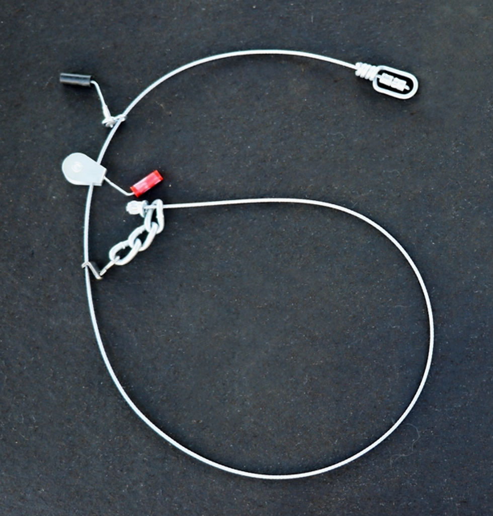 Bear foot snares, Hog foot snares