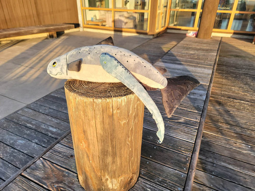 Chinook Salmon & Pacific Lamprey Stuffed Animals | Thompson Teachings L