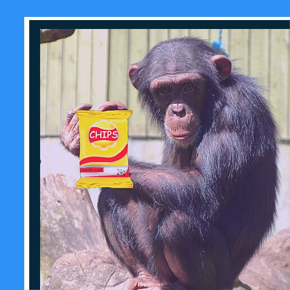 Closed Decodables | Flying Cat Academy