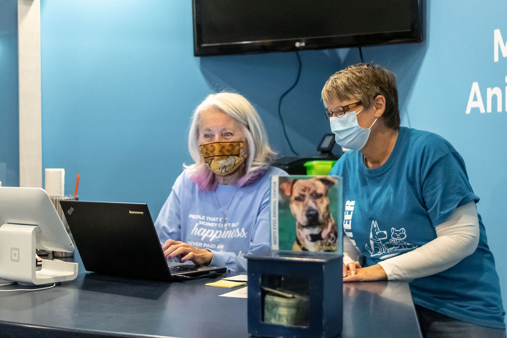 Home | Misty Eyes Animal