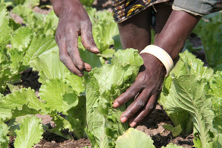 'No Farmers, No Food', But Farmers Need to Adapt