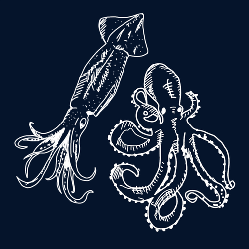 Calamari | Shelco Seafood Co.