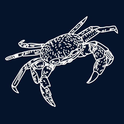 Crab Legs & Clusters | Shelco Seafood Co.