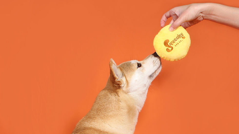 Squeaky and Co. | Quality Toys and Apparel for Your Loving Pet