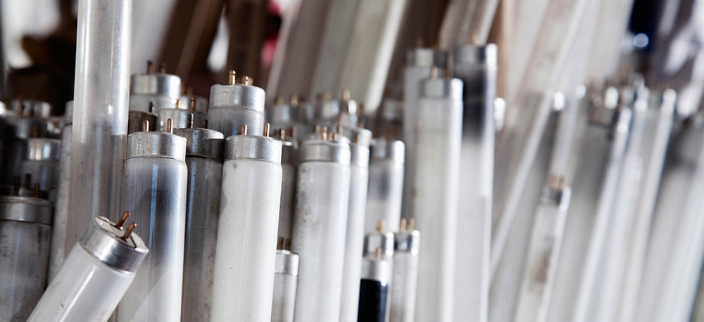 Incentivo! Salcomp recicla mais de 550 toneladas de resíduos sólidos ...