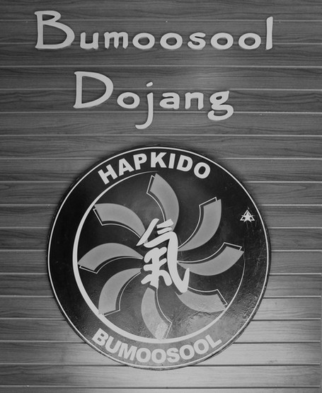 Hapkido | dojang