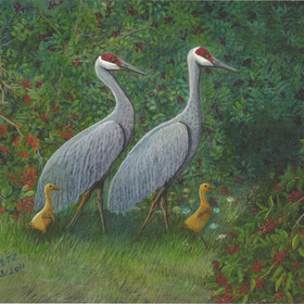 Birds | Gerri Betz Jackson