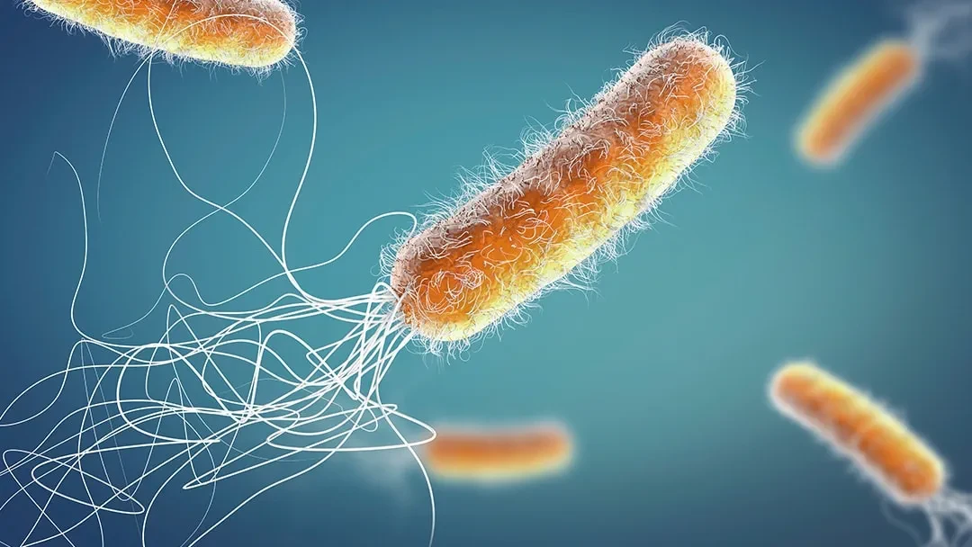 Superbug Infections