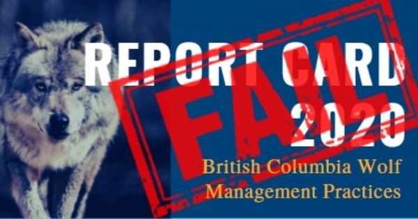 BC Report Card | Wolf Awareness Inc.
