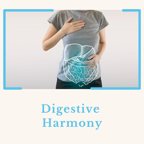 Digestive Harmony | Infinity Wellness