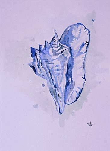 Life at Sea: Seashell | Aligned Creative Sol