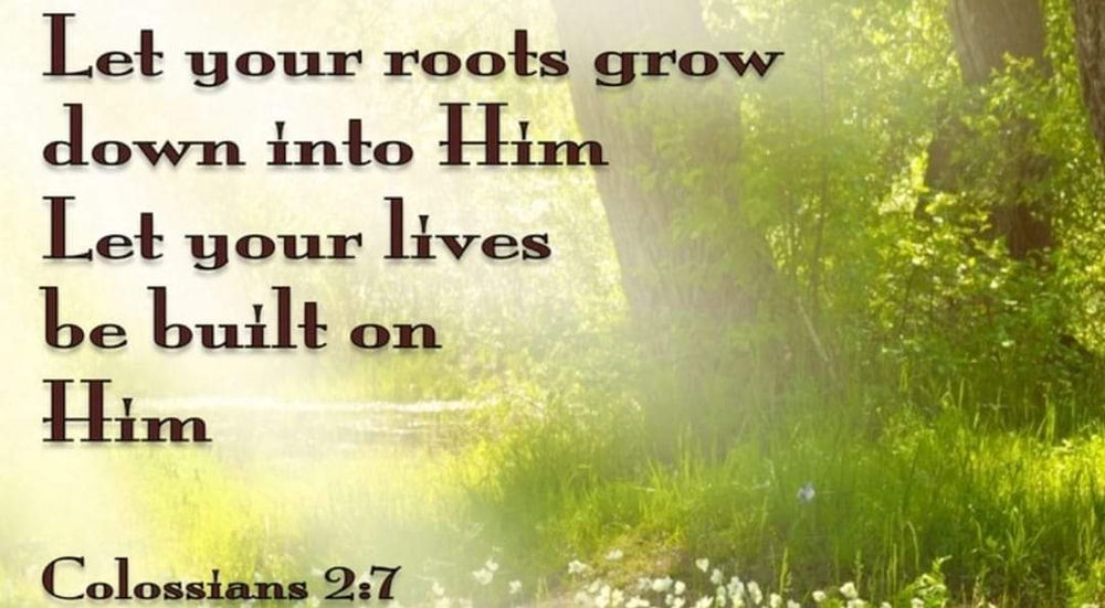 Roots And Fruits:Founded On Jesus (Part 4)