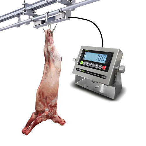 On-rail Carcass Electric Weighing System | RC Rwanda