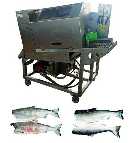 RC 608 - Small High Pressure Water Fish Scaling Machine | RC Rwanda