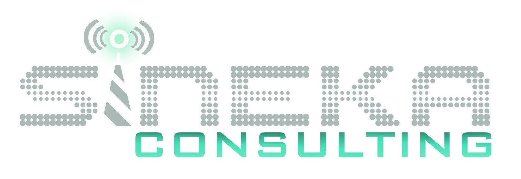 ABOUT | sinekaconsulting