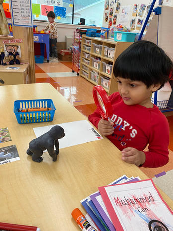Gallery | The Richmond Pre K C