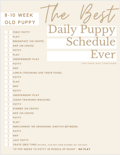 FREE The Best Daily Puppy Schedule Ever | The Good Dog