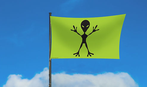 ALIEN FLAG KIT | FESTIVOLOGY | FUN FLAGS
