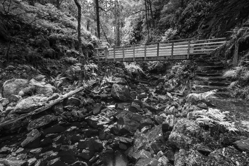 victoriajaynephoto | DALEGARTH FALLS MONO