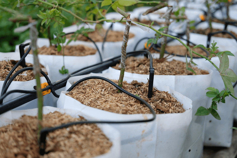 The Ultimate Guide to Drip Watering Systems in State College, PA