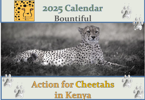 Calendars | Action for Cheetahs
