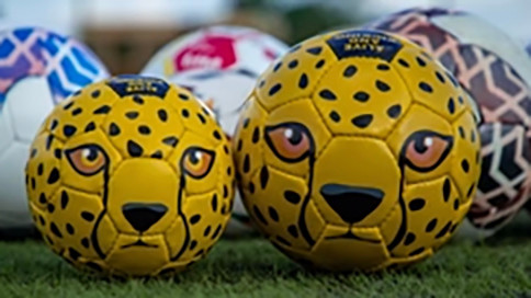Cheetah Soccer Balls | Action for Cheetahs in Kenya