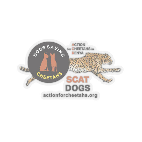 Sticker - Scat Dogs Logo | Action for Cheetahs in Kenya