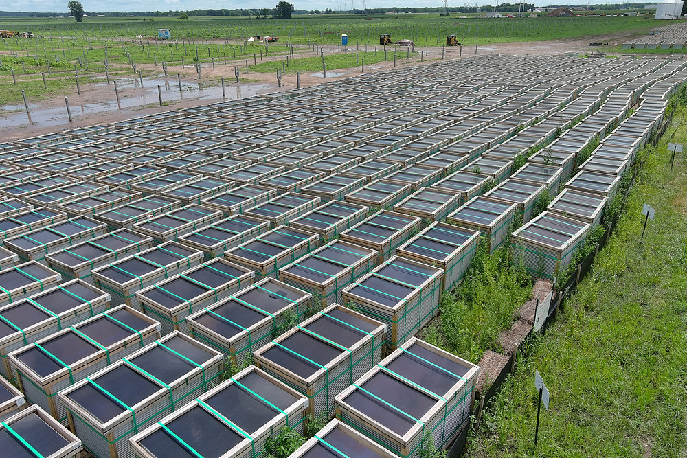 Honeysuckle Solar Farm Update