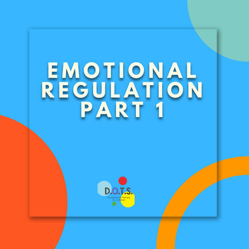 Supporting Emotional Regulation Webinar Part 1 – Introduction and ...