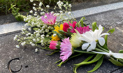 Home | Forest View Cemetery