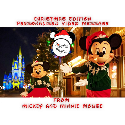 Mickey and Minnie Mouse Personalised Surprise Video Message (Christmas ...