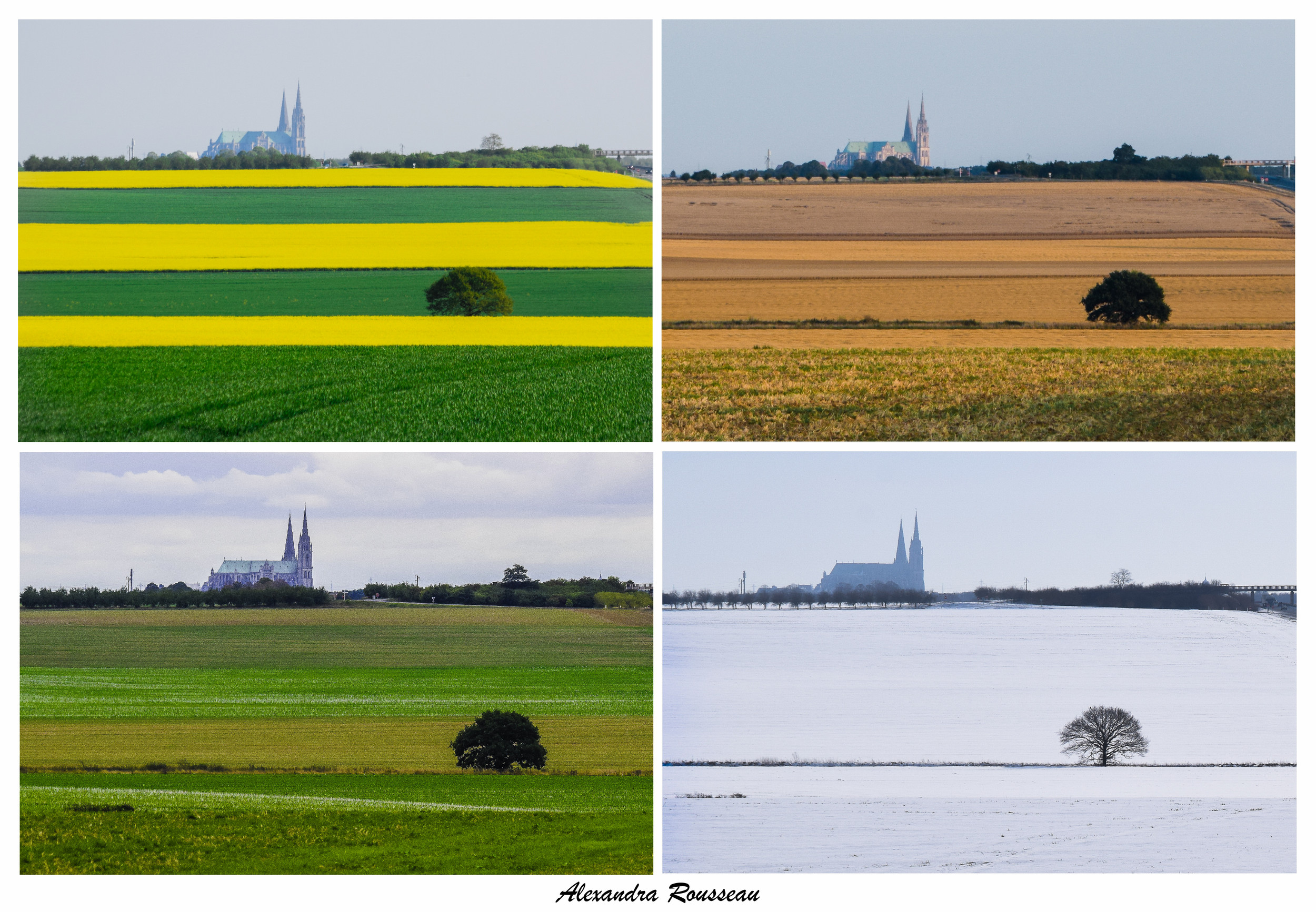 Alexandra ROUSSEAU Photographies | Chartres