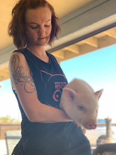 Better Piggies Logo Branded | BetterPiggiesRescue