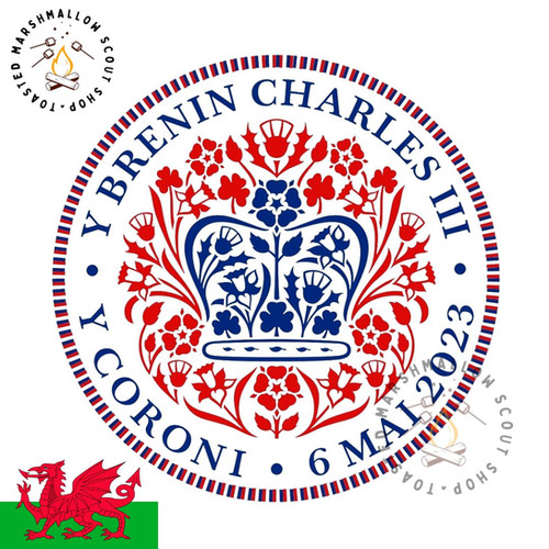 King's Coronation Official Welsh Emblem Badge (88mmx88mm ...